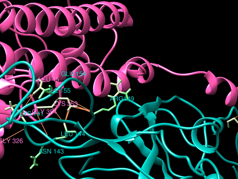 A fantastic redicted 3D protein models and their binding information ...