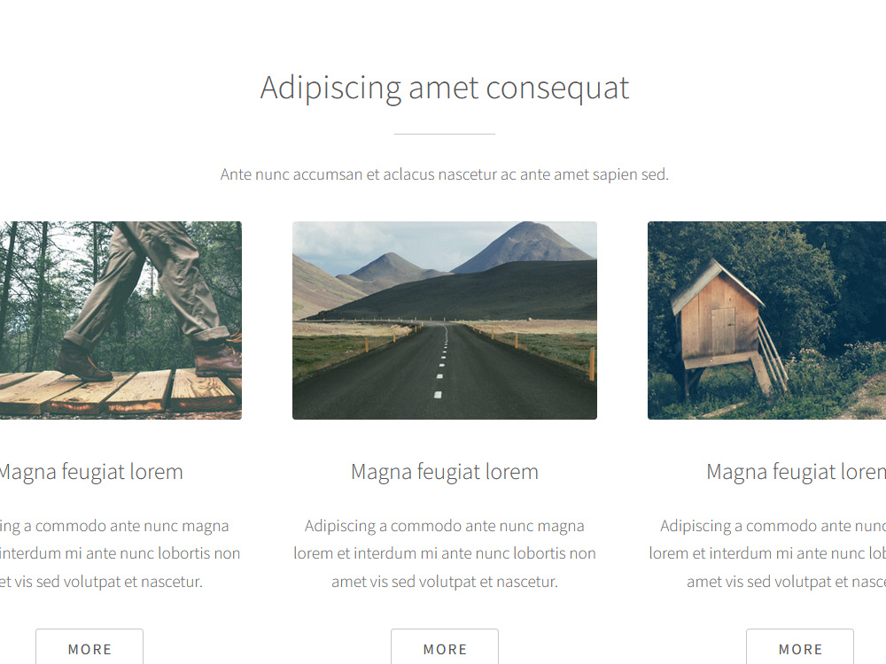 A stunning pixel perfect website | Upwork