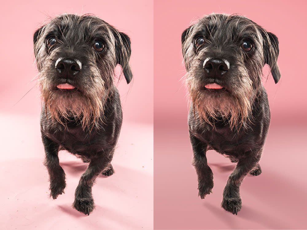 Perfect image retouch, product retouch, model retouch, background ...