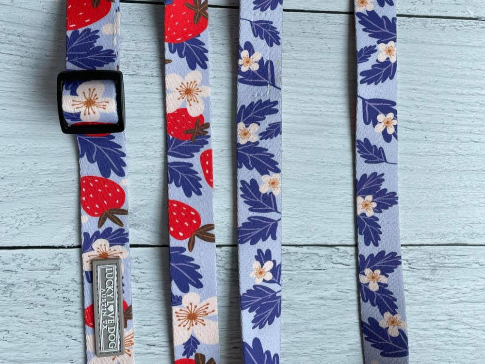 Beautiful patterns for your furry friends for Dog Leashes and dog ...