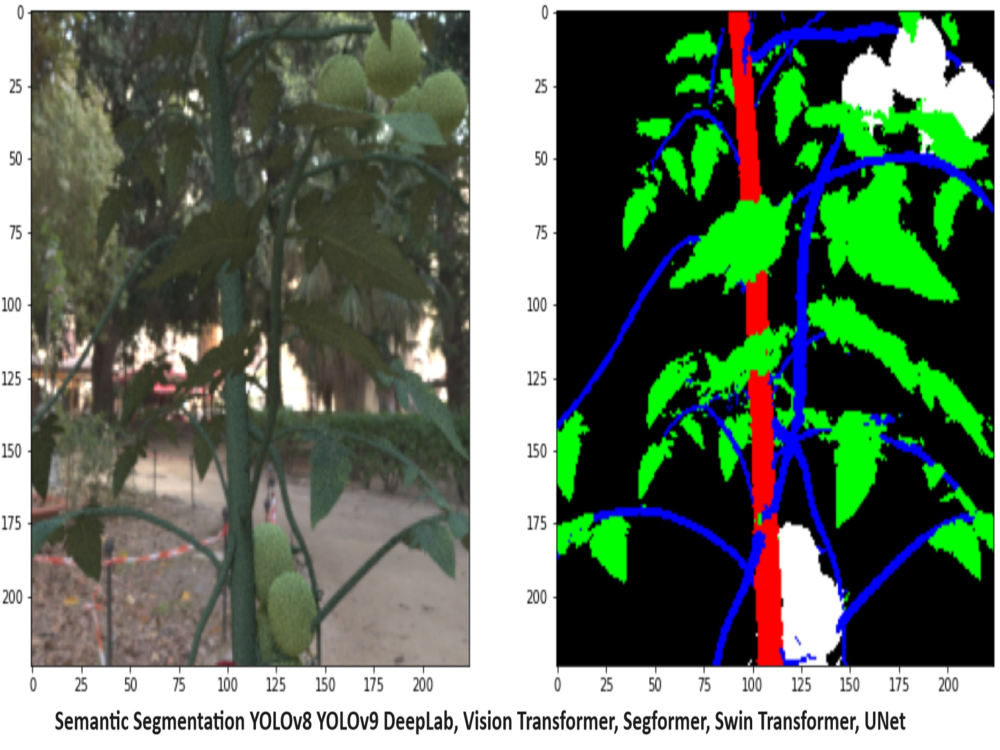 Image Segmentation & Semantic Segmentation AI Model (OpenCV) | Upwork