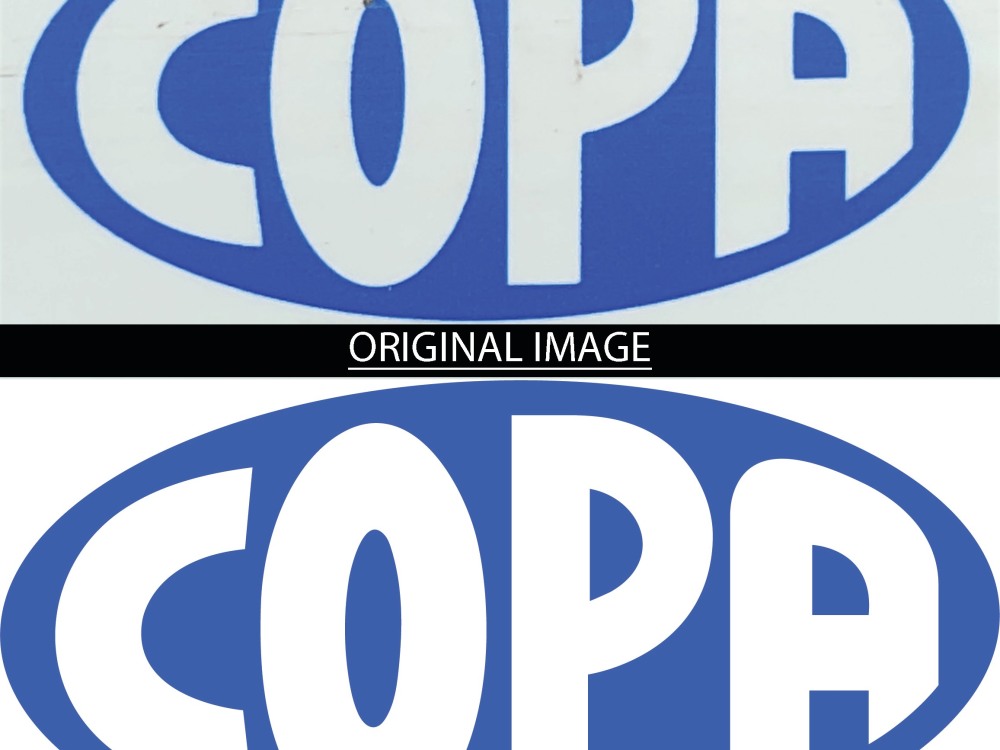 Professional vectorization and image tracing for logo recreation. | Upwork