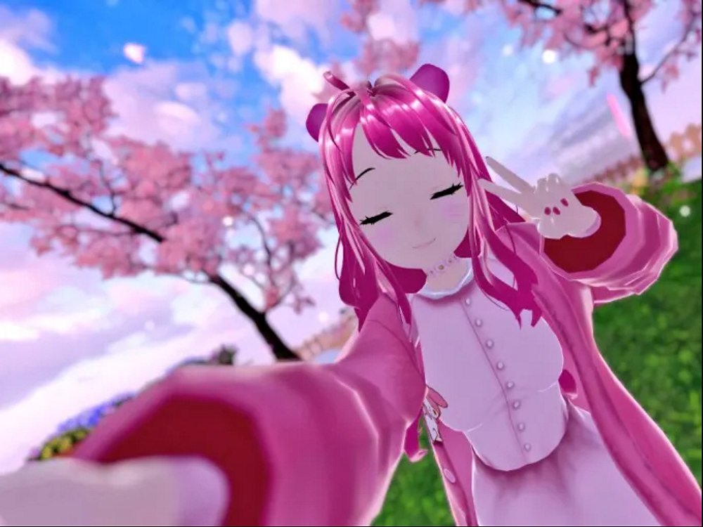 Rig and 3d character, model, vrchat avatar and 3d vtuber avatar ...