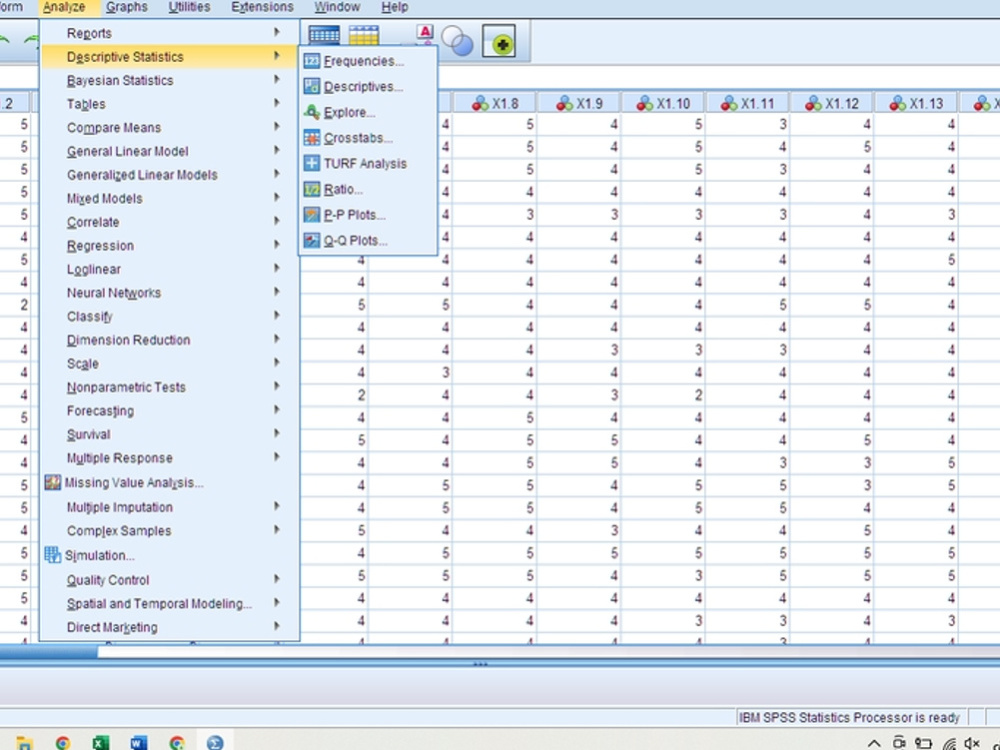 SPSS data analysis and processing | Upwork