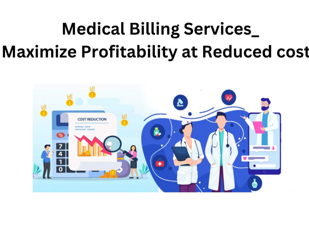 Patient Demographic Services into billing software's | Upwork