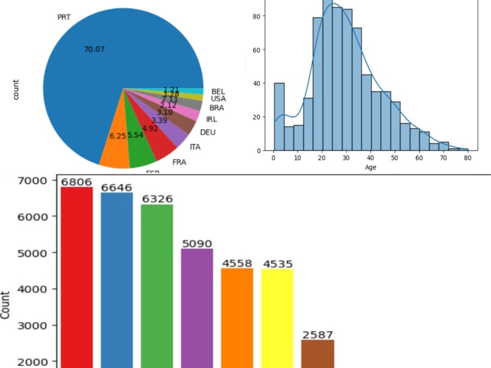 Data Analysis With Pythonpandas Matplotlib Seaborn Plotly Scikitlearn Upwork