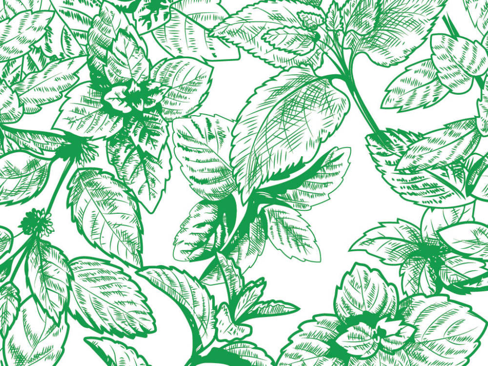 A botanical seamless repeat pattern design for your products | Upwork