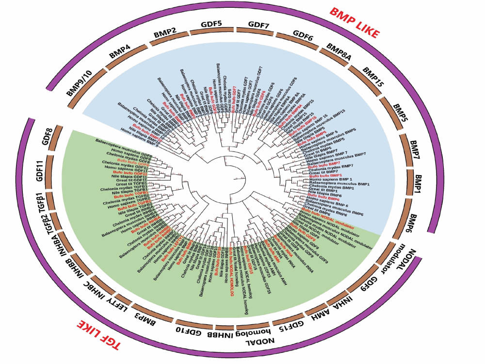 Professional Bioinformatics data Analysis & visualization services | Upwork