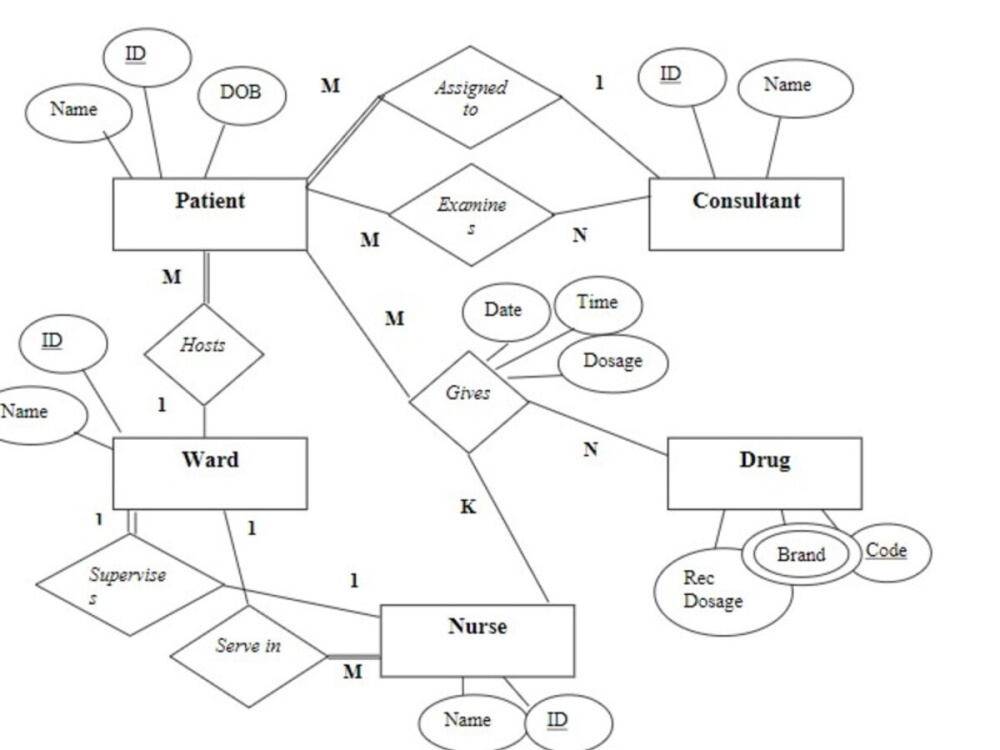 Database Design and Schema based on your business requirements | Upwork