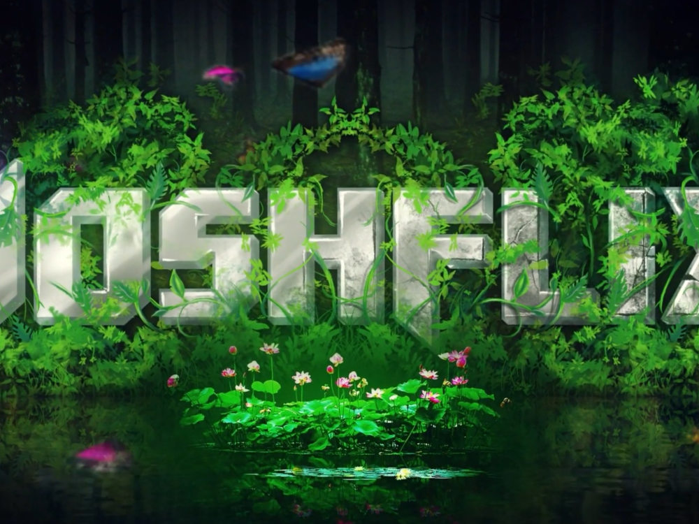 Stunning Motion Bumper | Logo Animation | Intro video | Animated logo ...