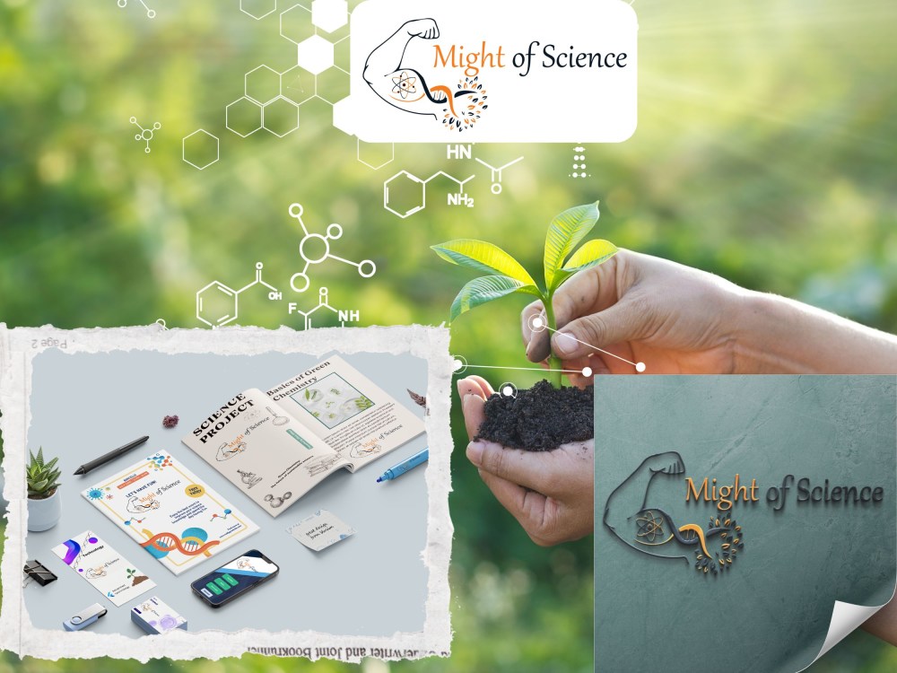 A unique, professional logo that perfectly represents your brand. | Upwork