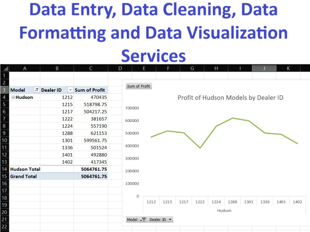 Data entry, data cleaning, data formatting and data visualization ...