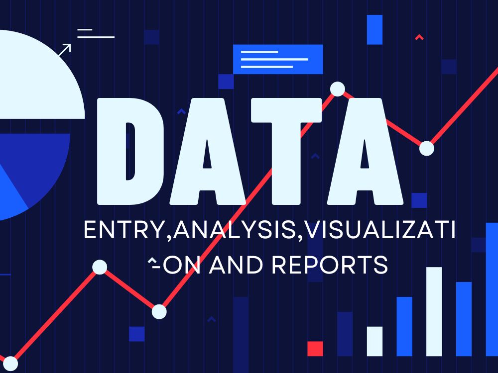 Quality Data entry, Data Visualization and Data Reports Services | Upwork