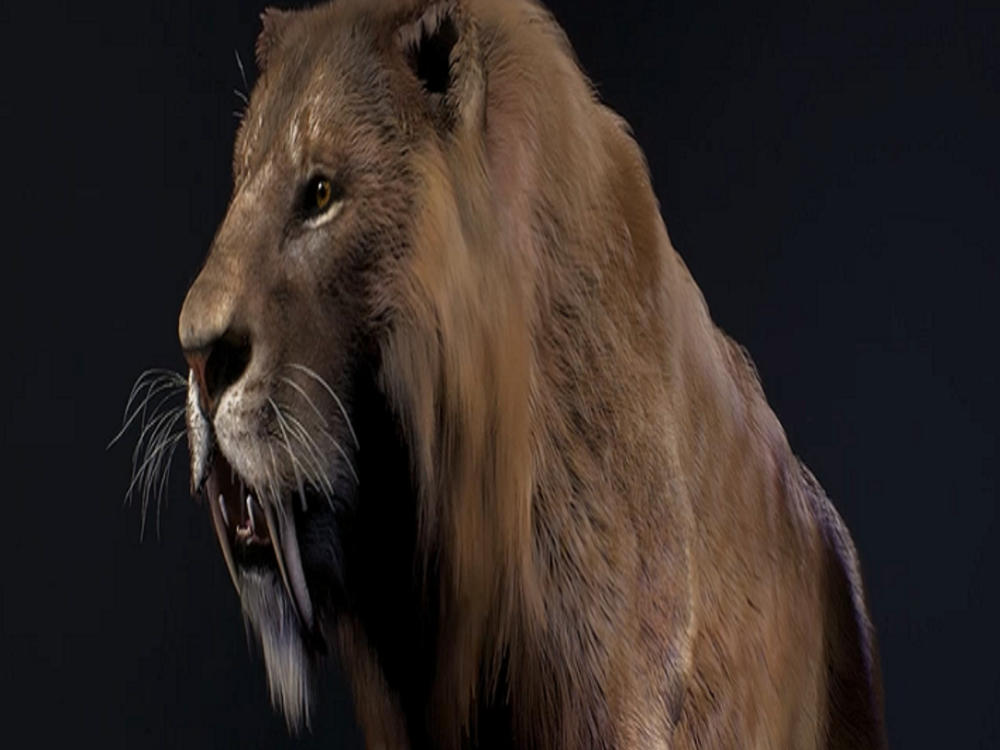 Realistic 3d animal model 3d creature design 3d model animal fur xgen ...