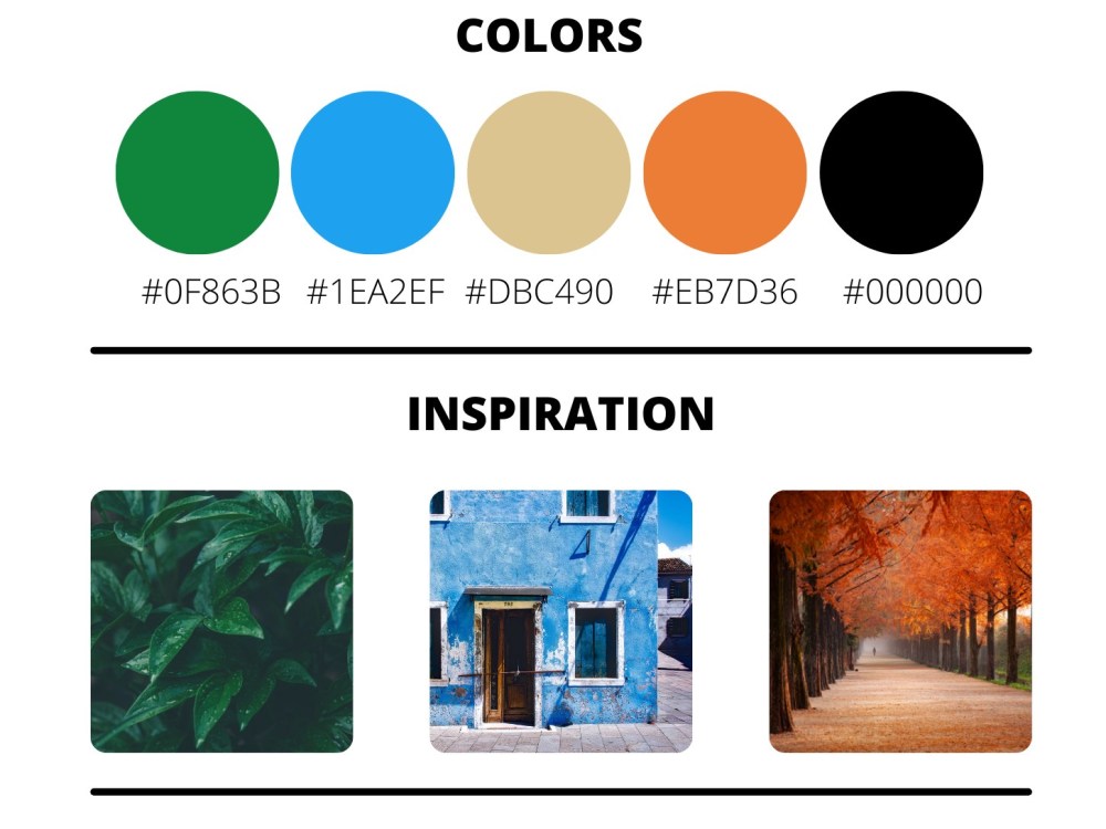 A custom color palette for your brand, website, and marketing materials ...