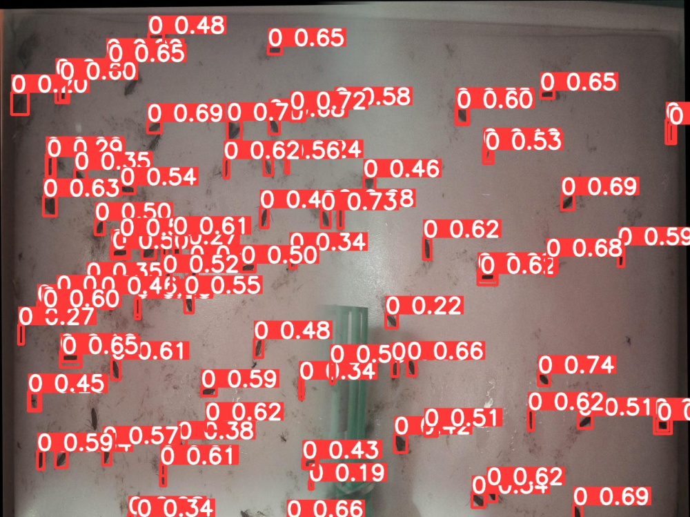 Custom object detection models using yolov8, yolov9, yolov10, yolo nas | Upwork