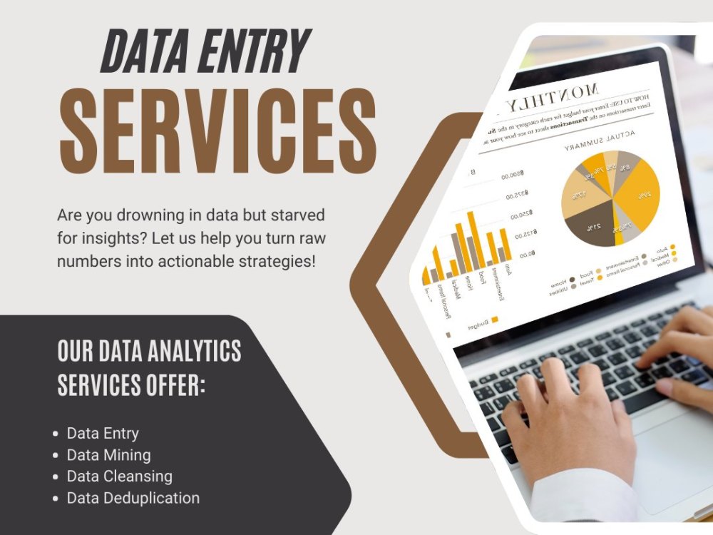 A virtual assistant for data entry, data mining, typing and copy paste ...