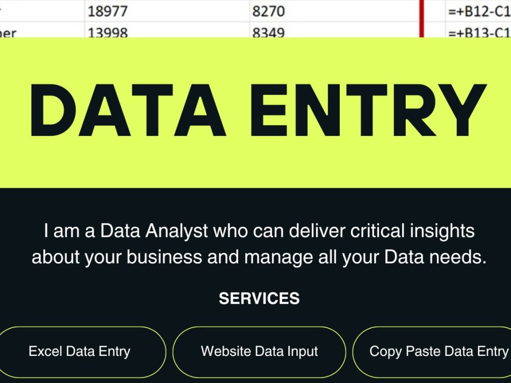 Professional Data Entry Services | Upwork