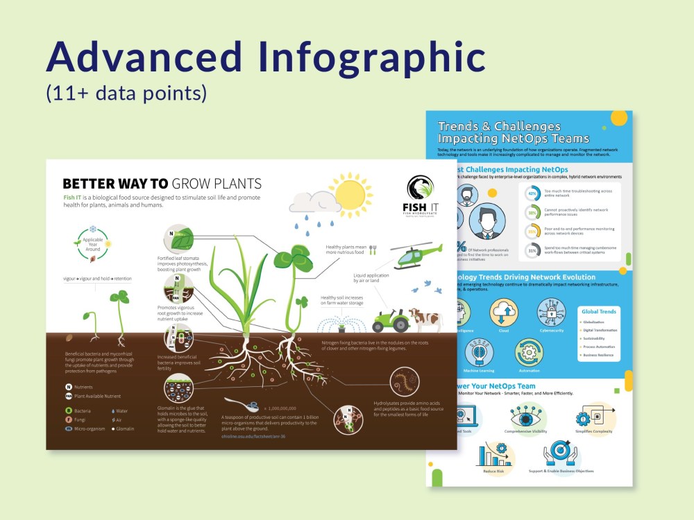 A custom infographic that is perfect for your brand! | Upwork