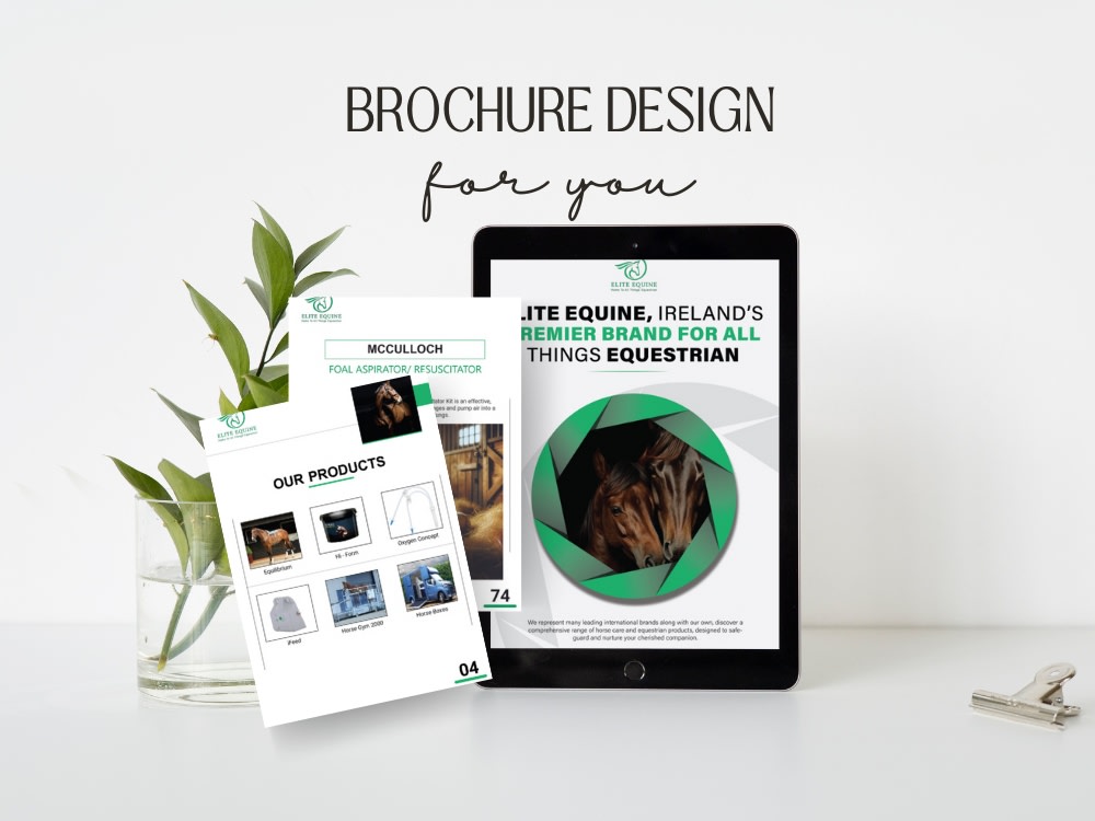 Professional Catalogs, Brochures, Magazines and Booklets for your ...