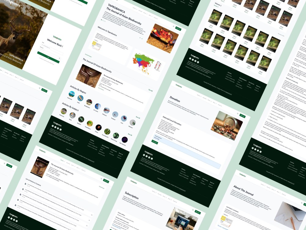 Stunning & Professional Company Profile Website Design | Upwork