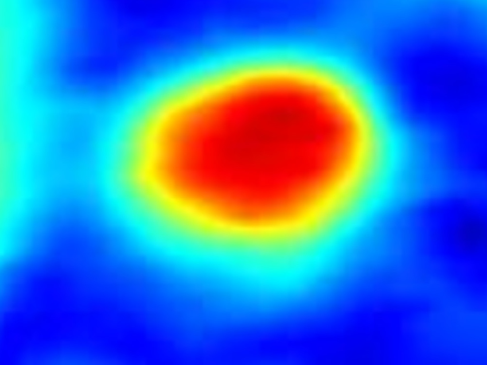 Image classification framework for 2D/3D images | Upwork