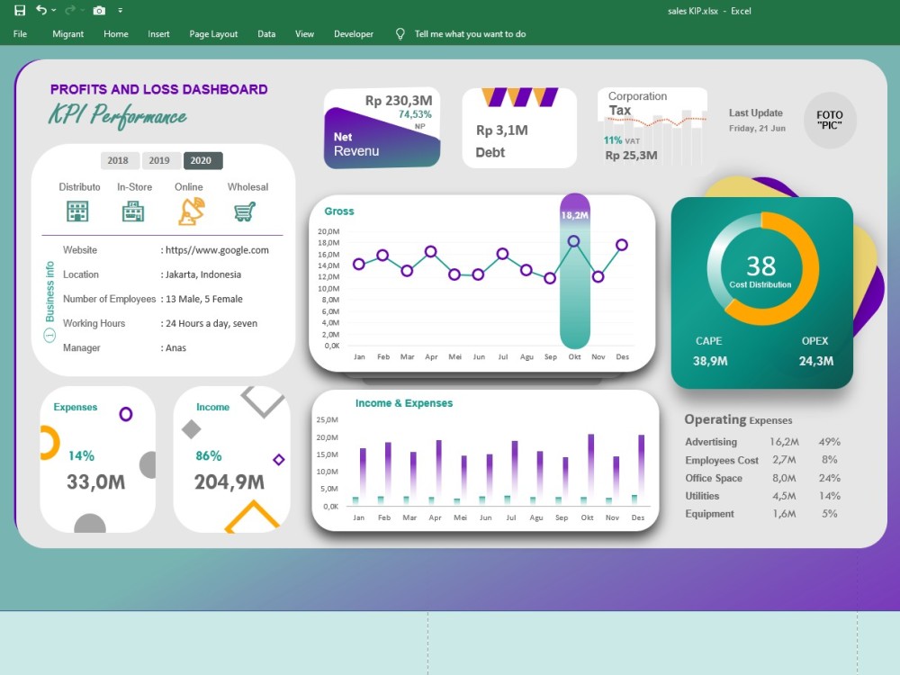Beautiful Excel Performance Dashboard | Upwork