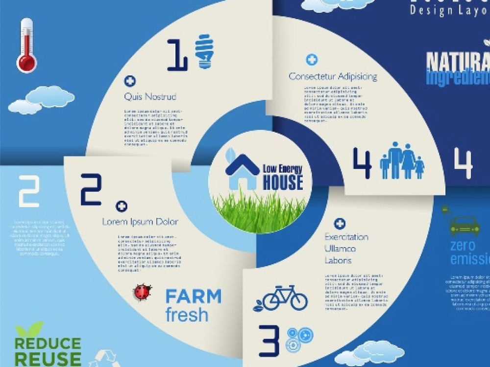 Creative and visually appealing infographics and brochures within 24 ...