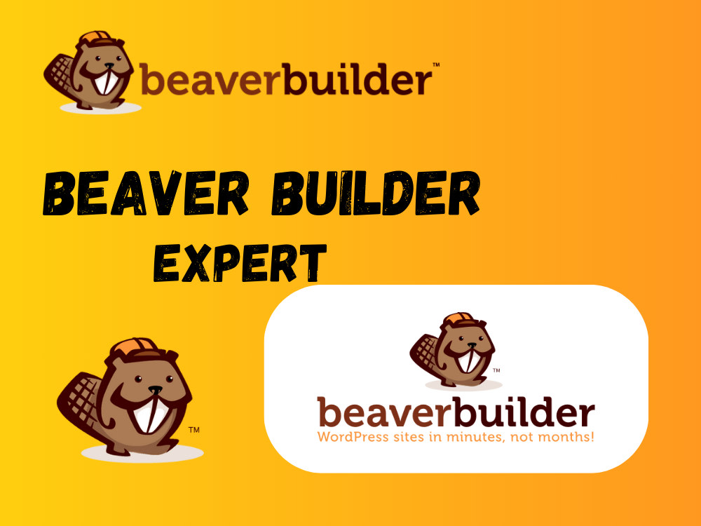 WordPress Beaver Builder Setup and Design, landing page | Upwork