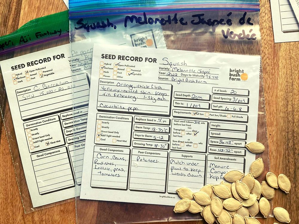 Customized Seed Planting Guide PDF with Your Branding | Upwork