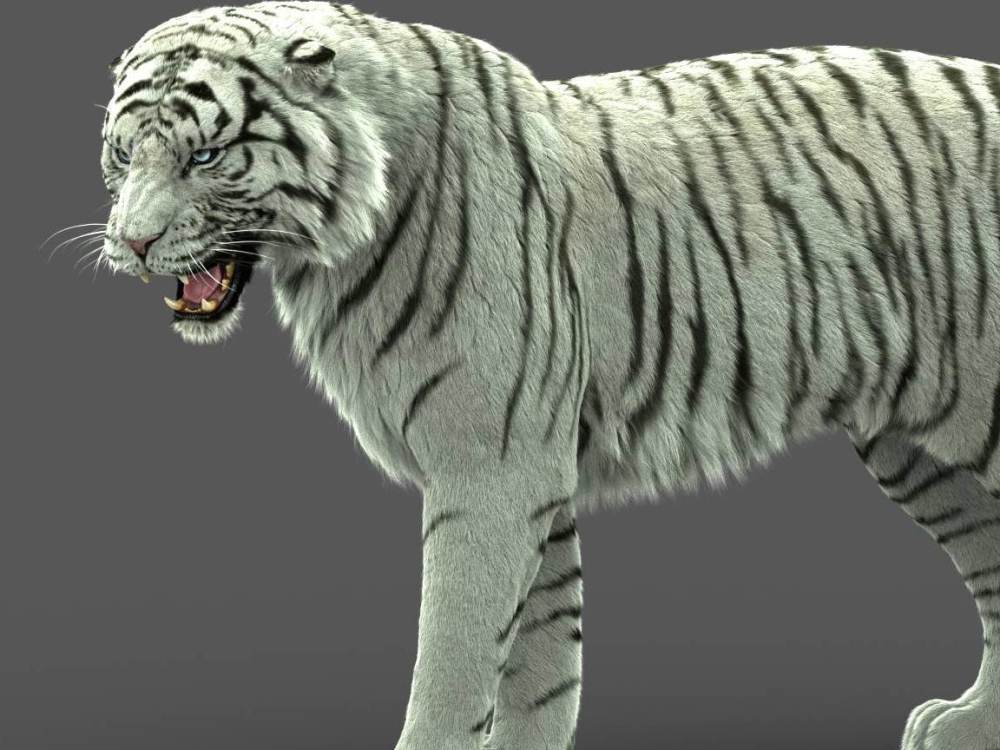 A 3d animal animation, cgi animation, animal model, animal rigging | Upwork
