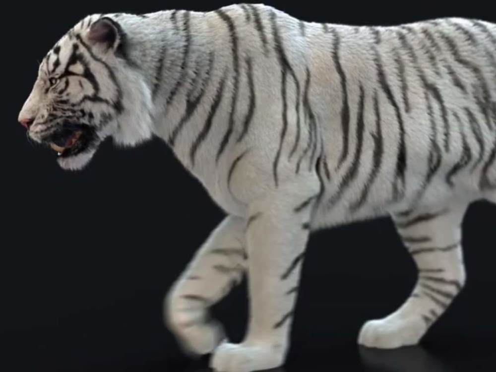 A 3d animal animation, cgi animation, animal model, animal rigging | Upwork