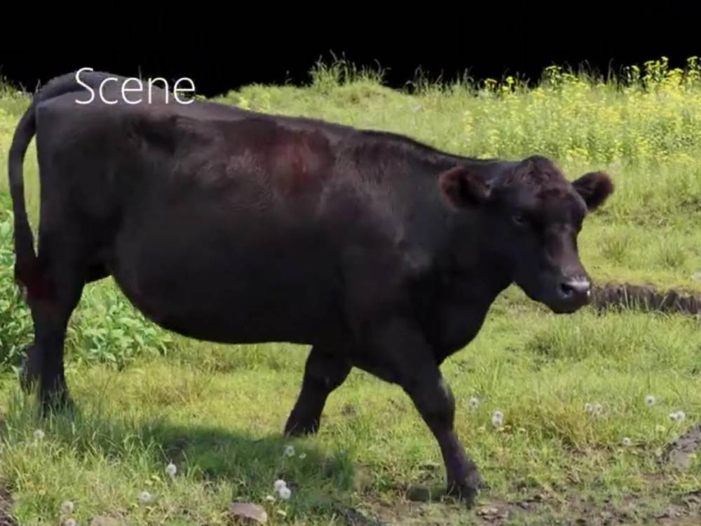 A 3d animal animation, cgi animation, animal model, animal rigging | Upwork