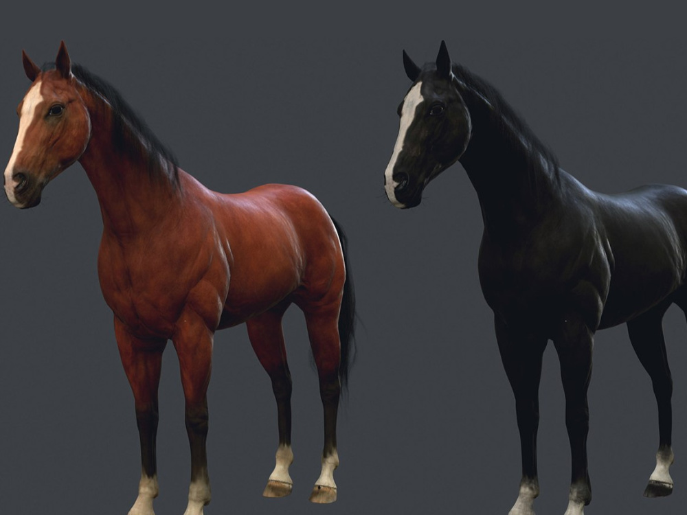 A 3d animal animation, cgi animation, animal model, animal rigging | Upwork