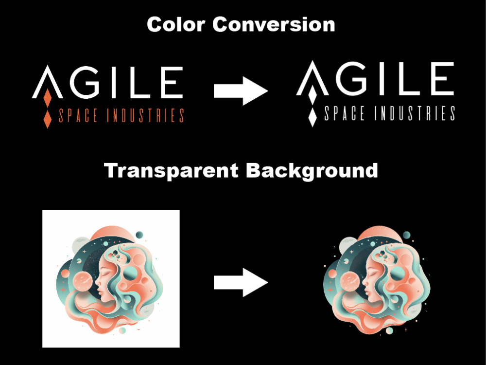 Logo Editing (Recoloring, Transparent background, Vectorization, Etc ...