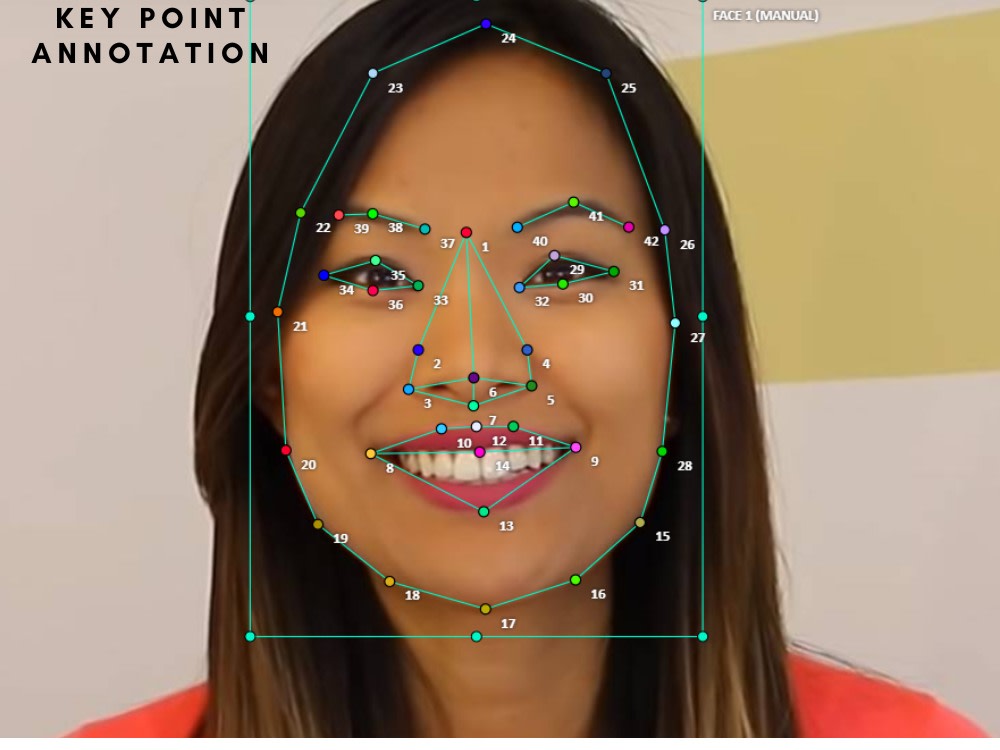Image Annotation, Image Labeling, Image Tagging on Cvat and Labelbox ...