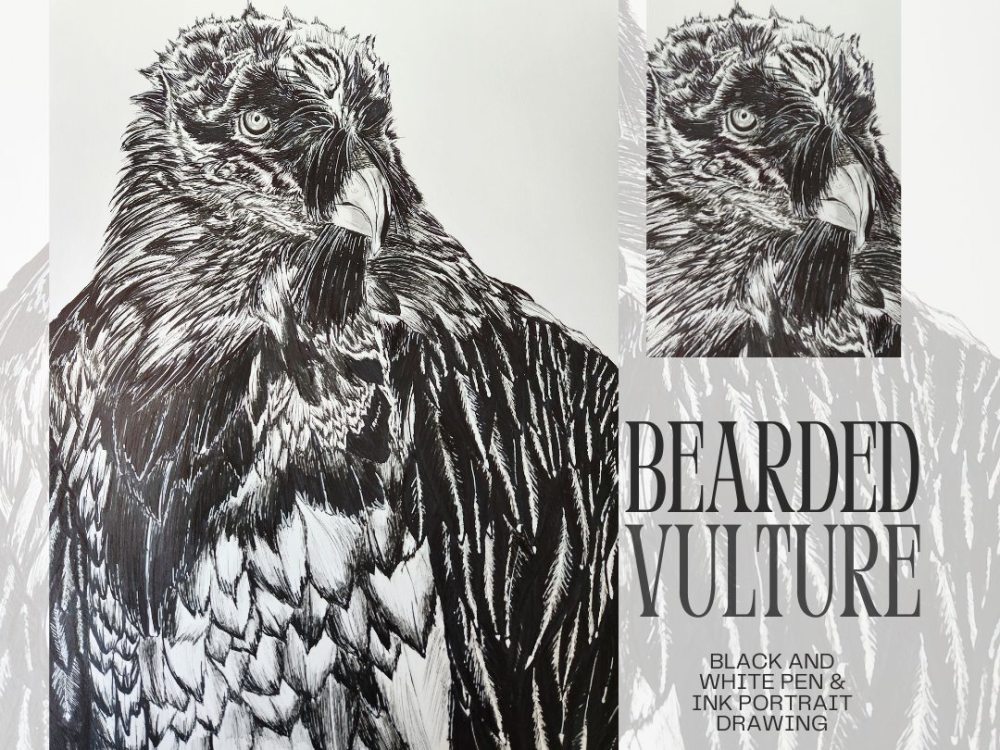 A Incredible Detailed Pen and Ink Animal Portrait | Upwork