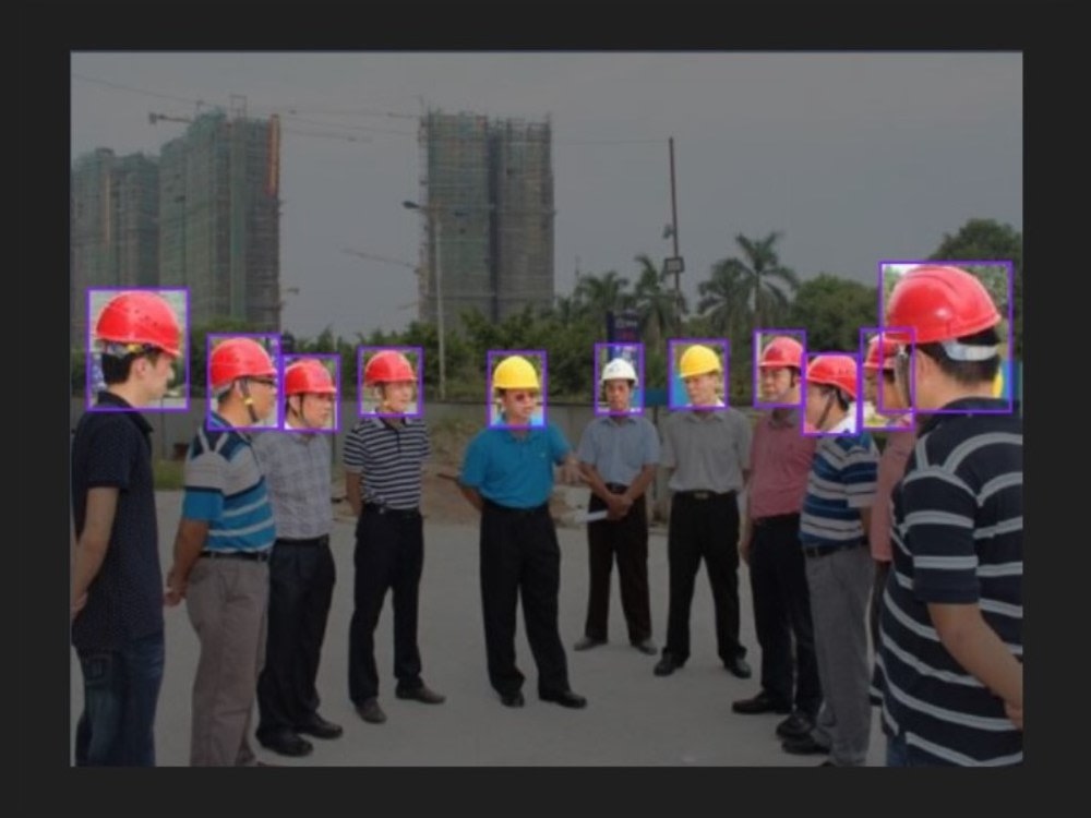 Annotation and YOLO Model | Upwork