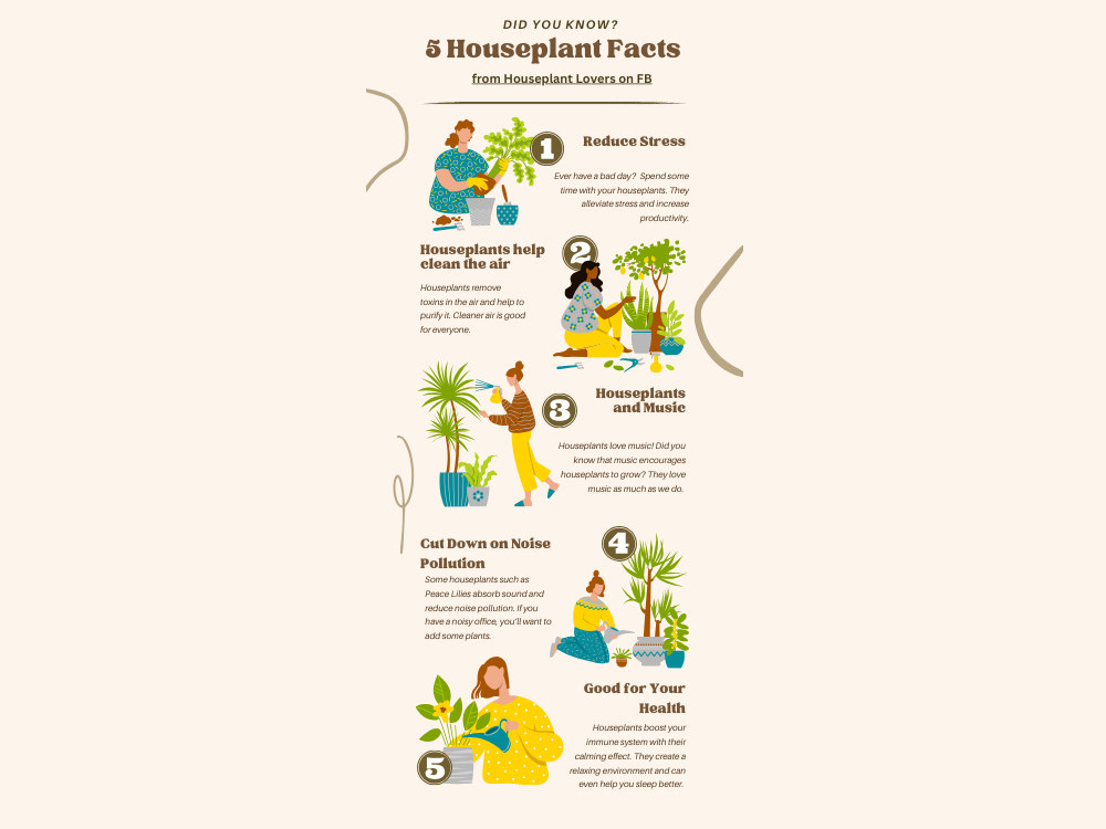 Eye-Catching Canva Infographics | Boost Engagement & Simplify Complex ...