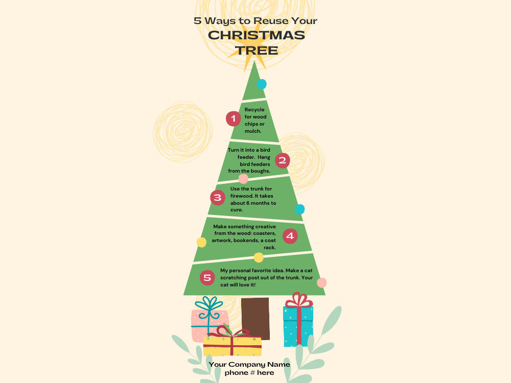 Eye-Catching Canva Infographics | Boost Engagement & Simplify Complex ...