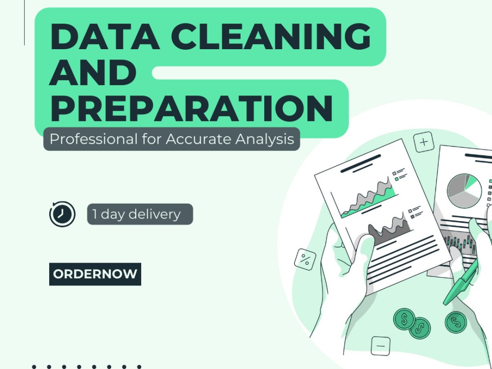 Professional Data Cleaning and Preparation Service | Upwork