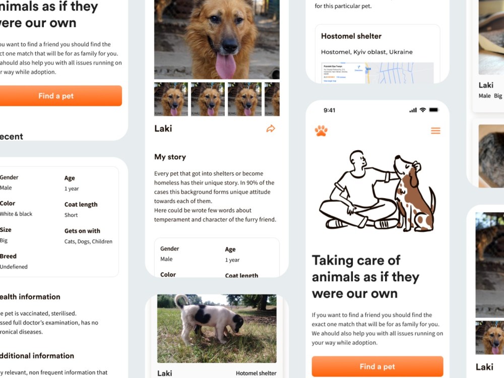 Unique and personalized website design UIUX | Upwork