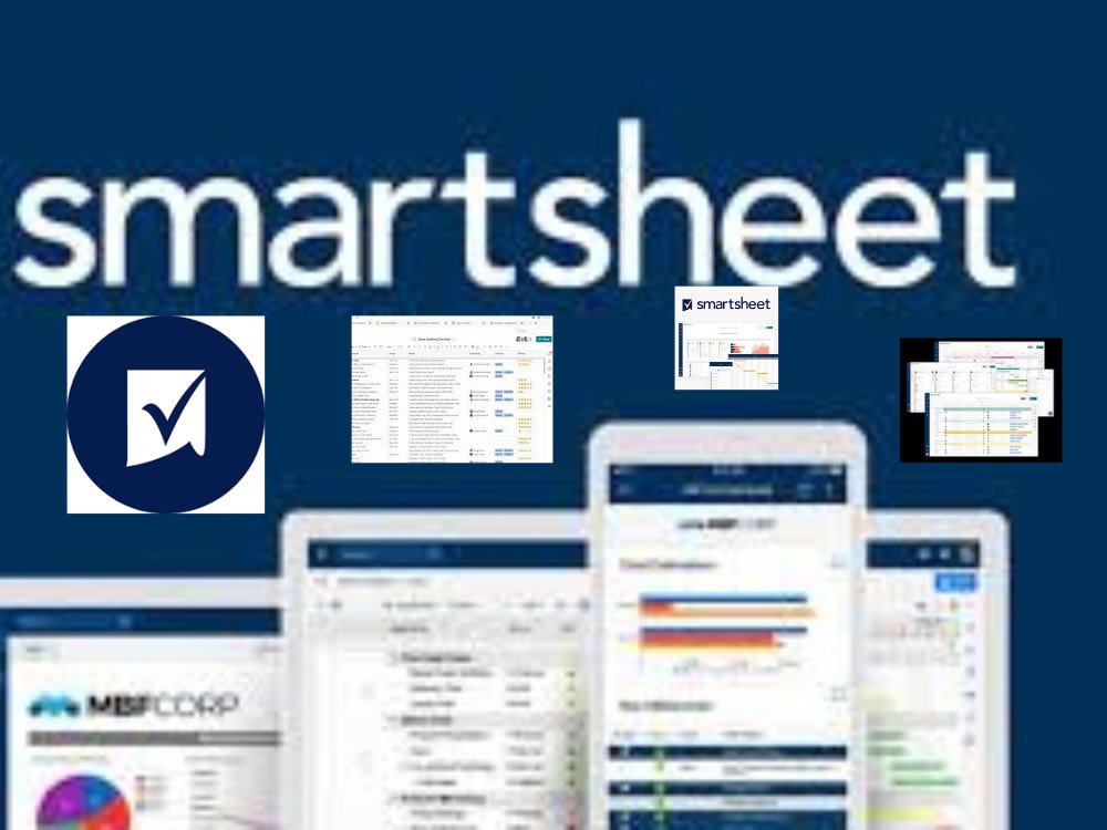 Smartsheet specialist to setup workflow,dashboard,form,automation,reports | Upwork