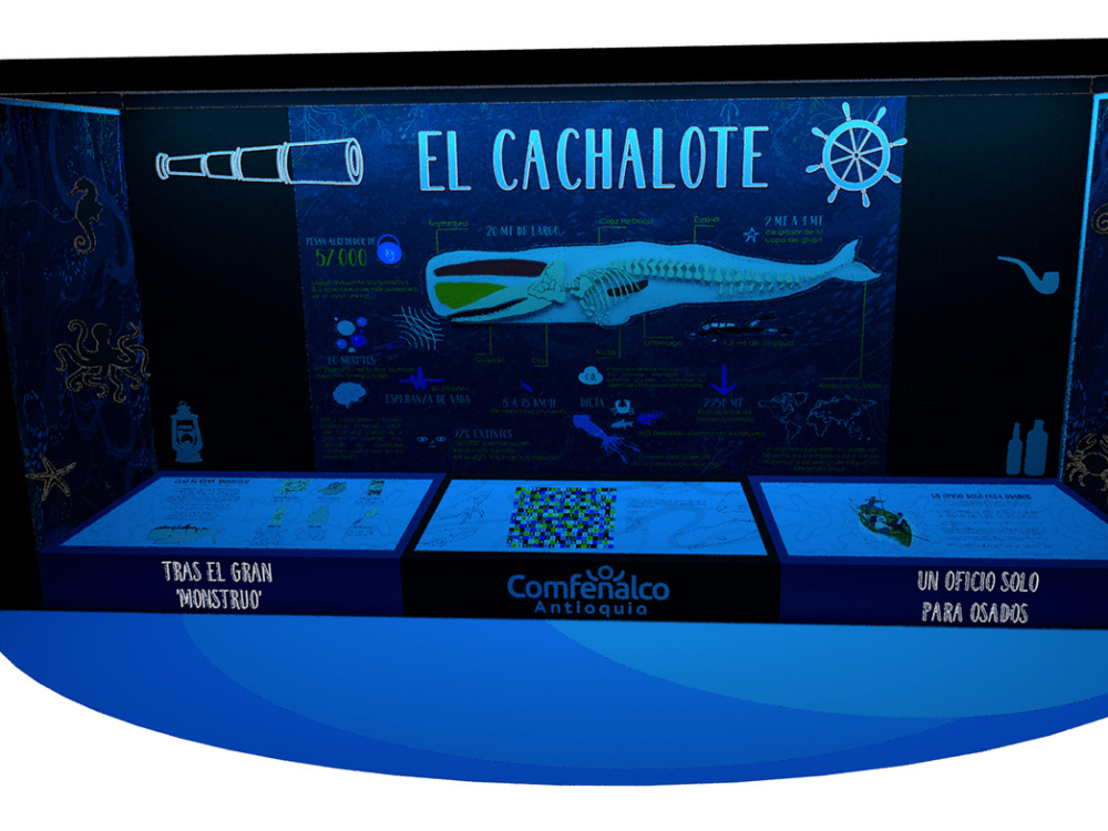 Moby Dick Stand Design | Upwork