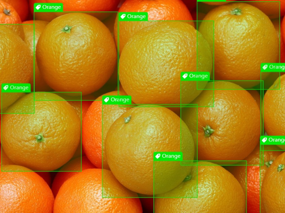 Image annotation bounding box segmentation data labeling for AI | Upwork