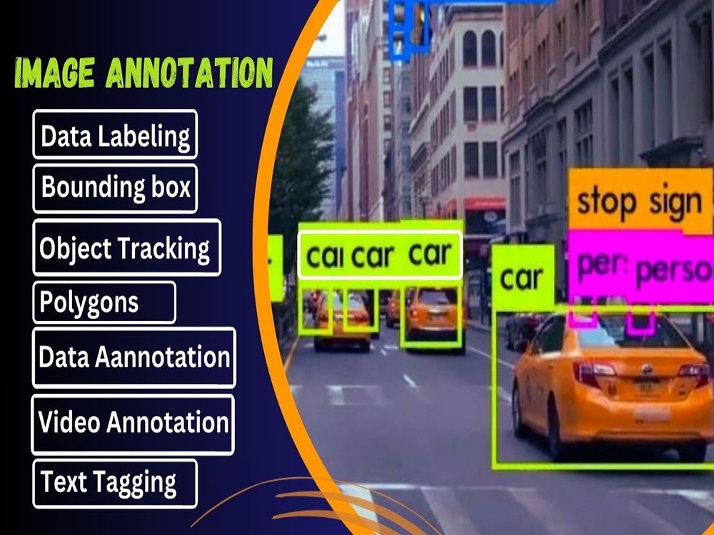 Image annotation, data annotation, tagging labelling bounding box polygon | Upwork