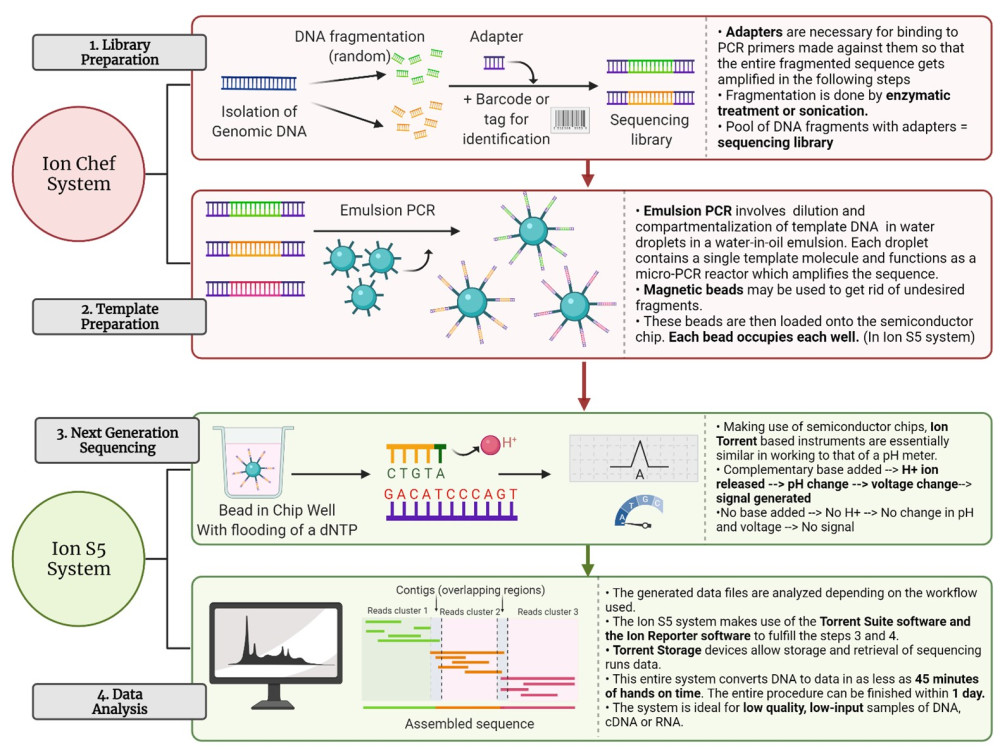 A visually appealing scientific illustration | Upwork