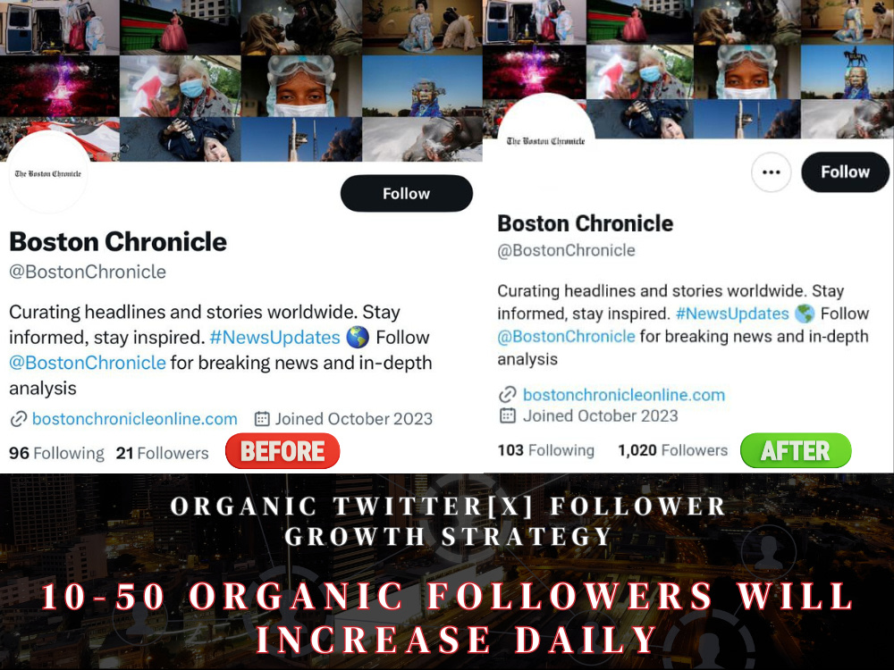 Twitter(X) Organic Follower Growth Engagement & Complete Follower ...