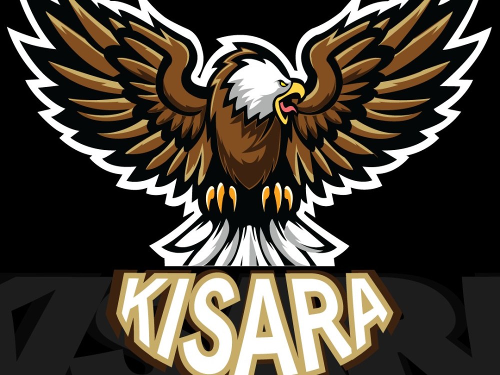 A professional mascot logo | Upwork