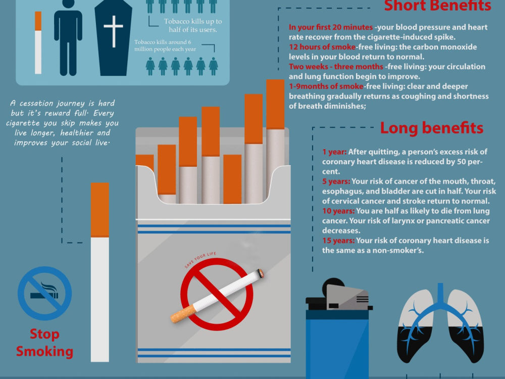 A well organised infographics design | Upwork